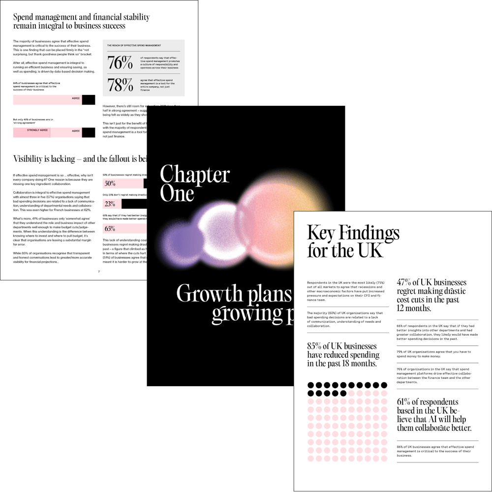 The Finance and Business Synergy Report